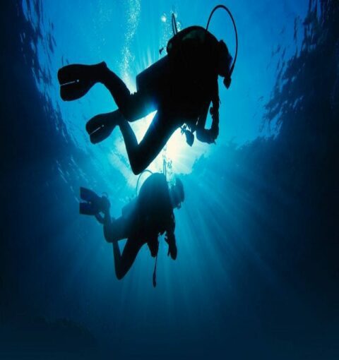 Rainbow River Scuba Diving | FL